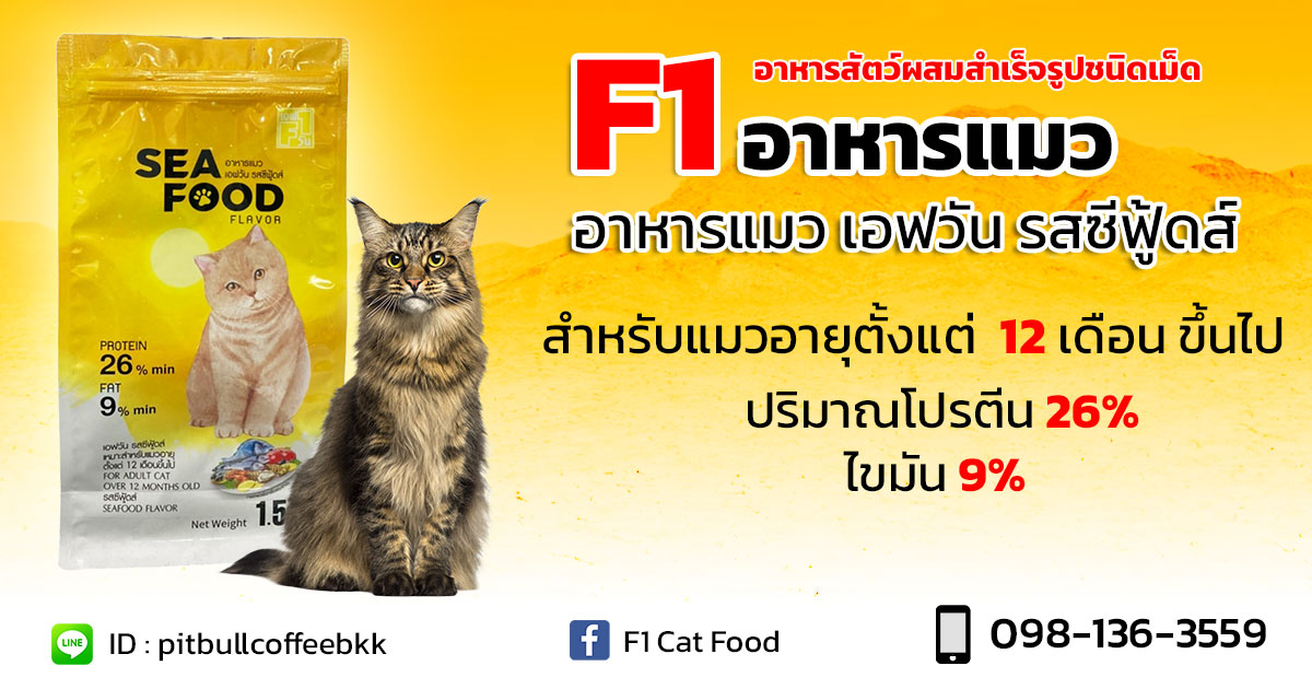 อาหารแมว เอฟวัน รสซีฟู้ดส์ อาหารเม็ดแมว F1 SEAFOOD